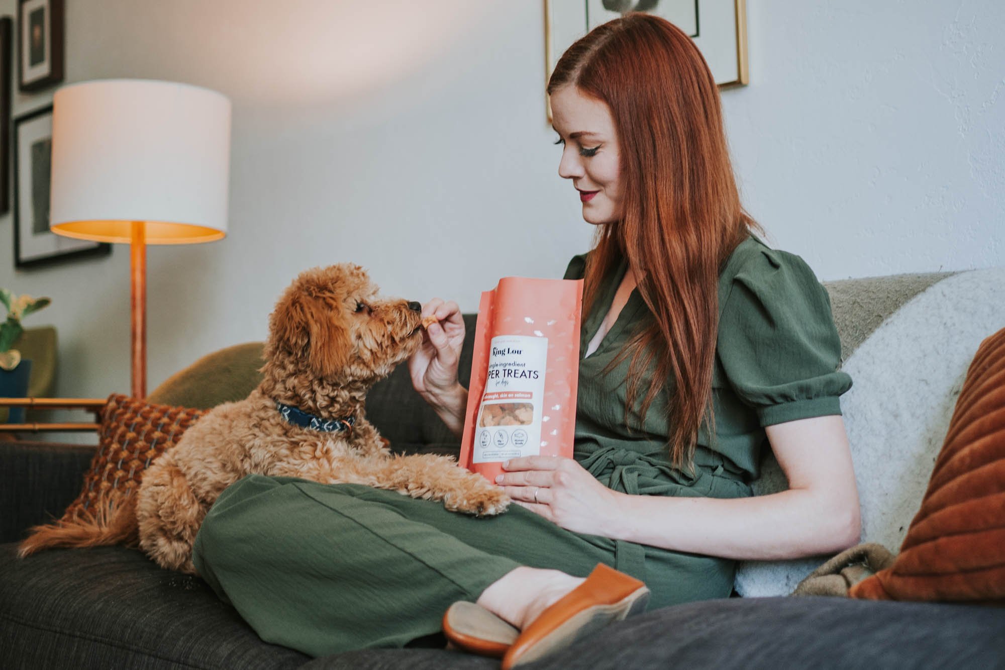 National Pet Day - Guide for Journalists - Press Hook