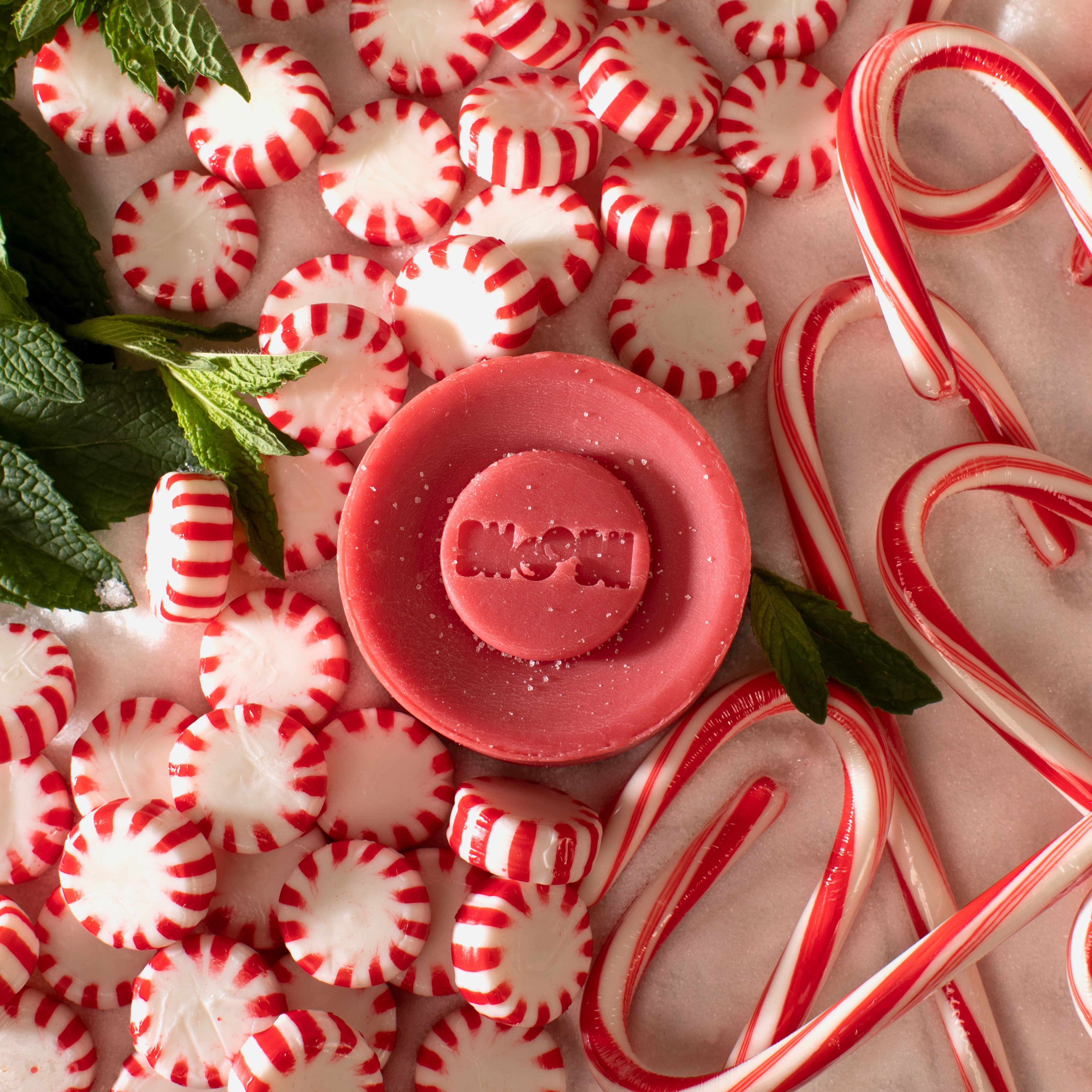 Smoosh Holiday Bar Set - Public Relations Media Kit - Press Hook