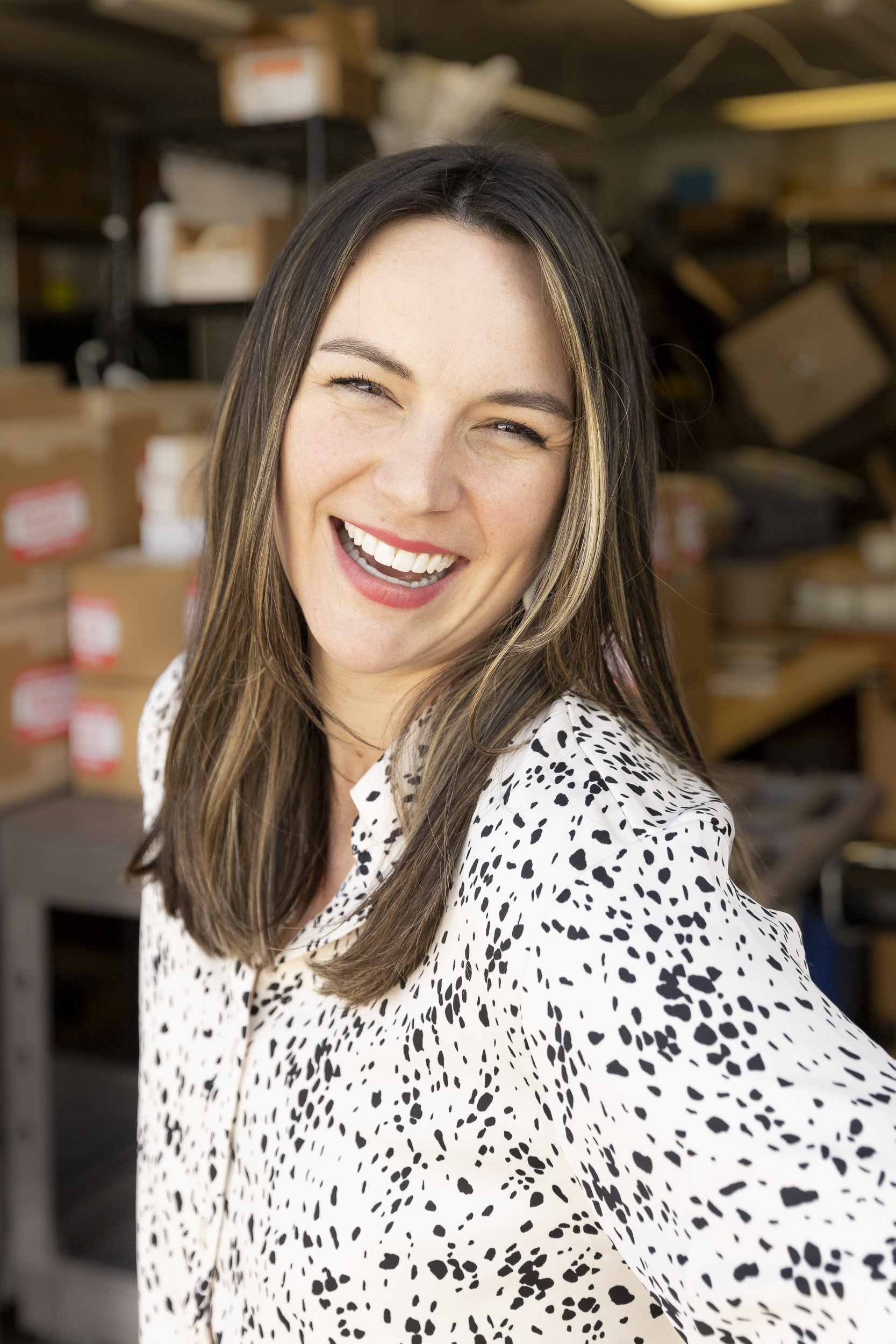 Michelle Simmons - Press Hook