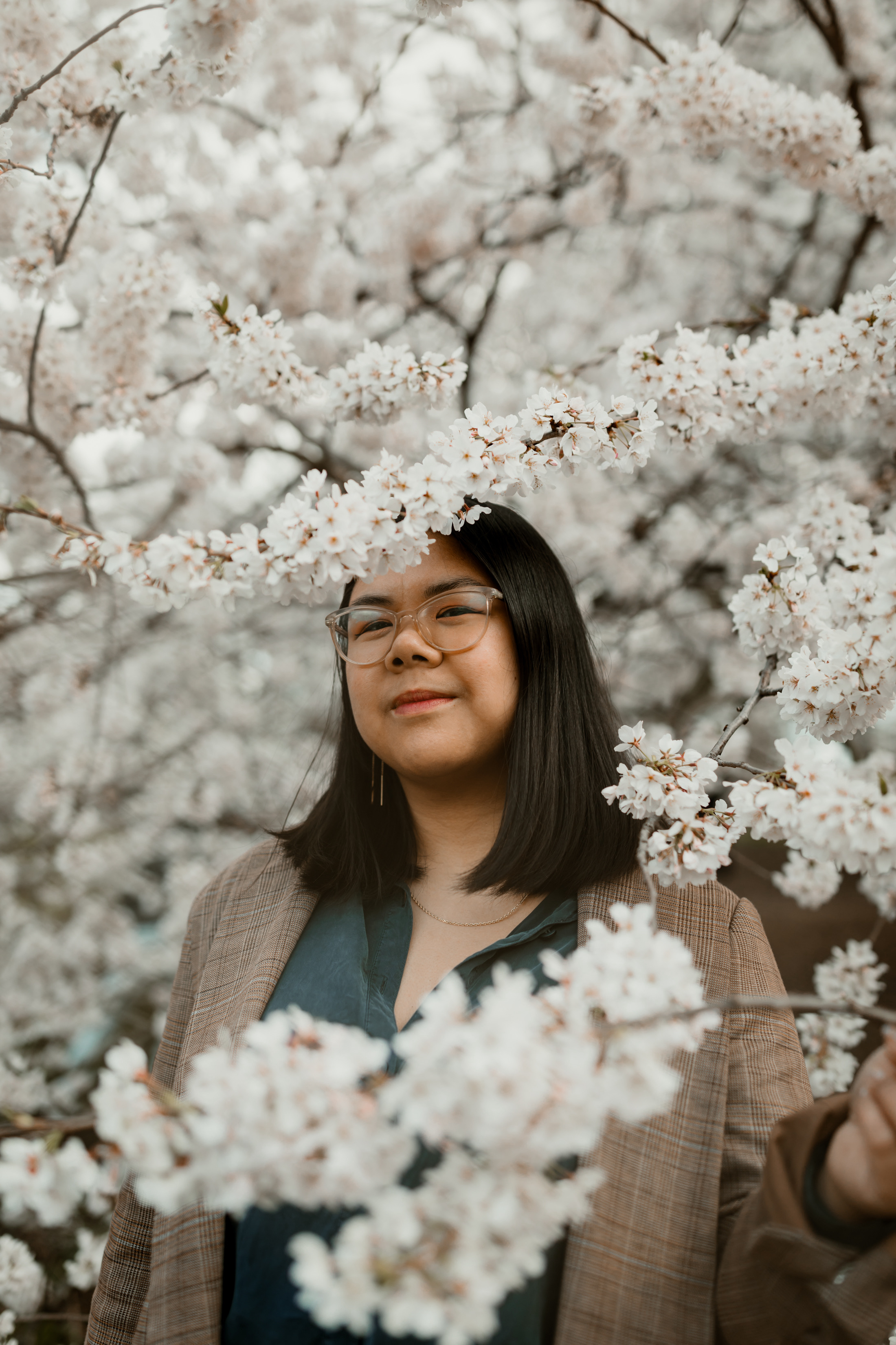 Anne Cruz - Profile - Press Hook